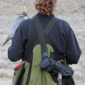 Field Marshall 4000 Digital Tracking Receiver VHF – Marshall Radio ...