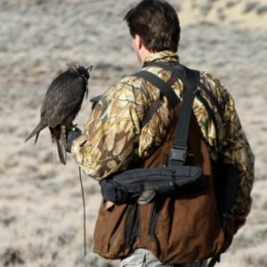 Field Marshall 4000 Digital Tracking Receiver VHF – Marshall Radio ...