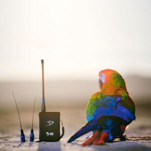 Turbo GPS System for Parrots – Marshall Radio Worldwide