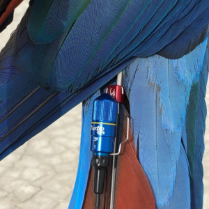 Turbo GPS System for Parrots – Marshall Radio Worldwide