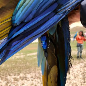 Turbo GPS System for Parrots – Marshall Radio Worldwide