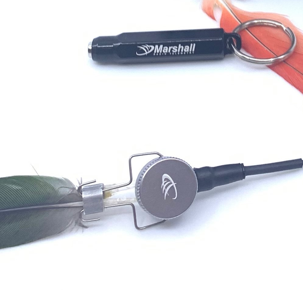 Beeping System for Small Parrots – Marshall Radio Worldwide