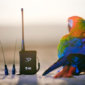 Marshall Turbo GPS System for Parrots – Marshall Radio Europe