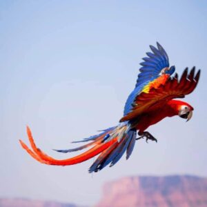 GPS System for Parrots – Marshall Radio Worldwide